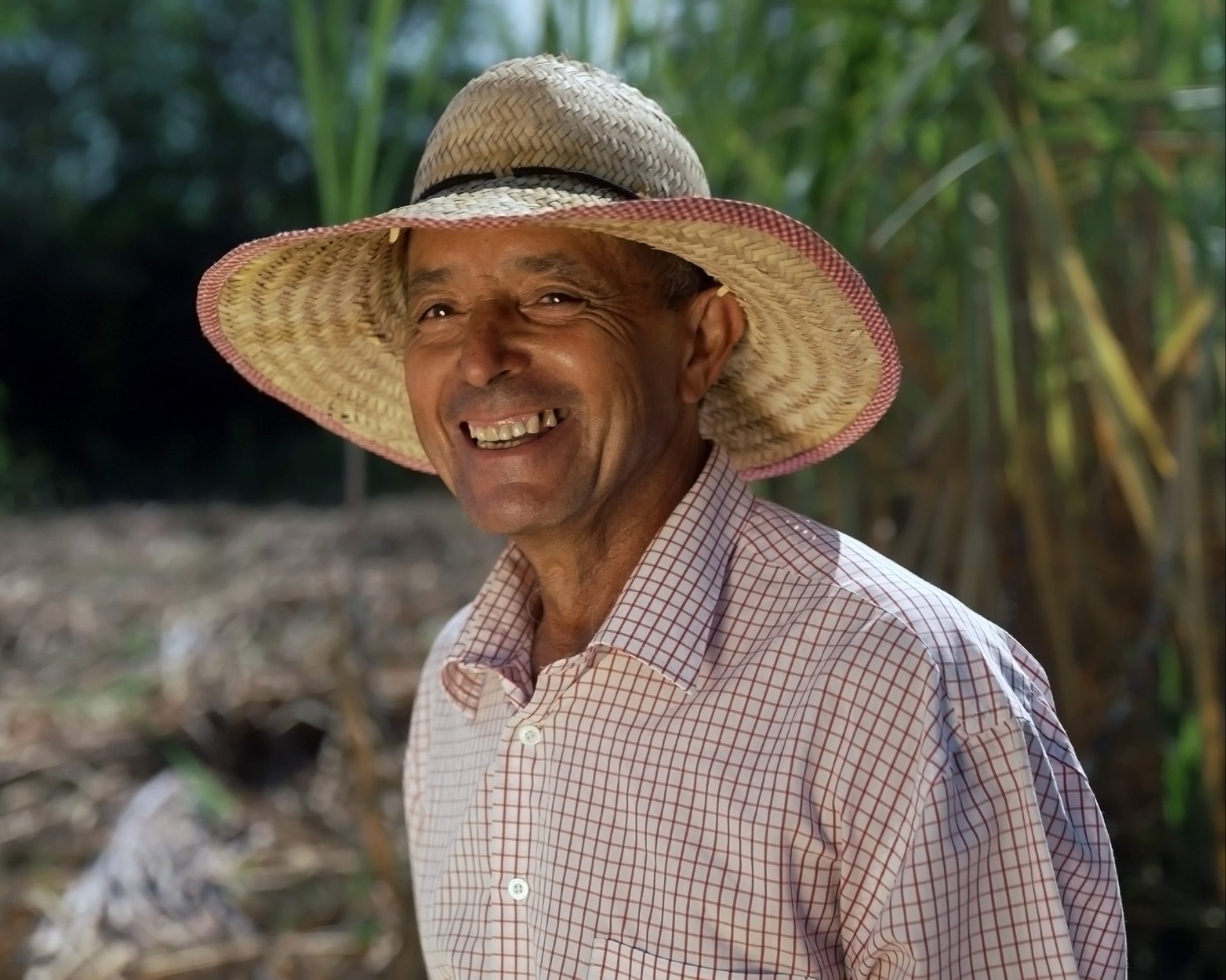 WHO WE ARE – Wholesome Sweet